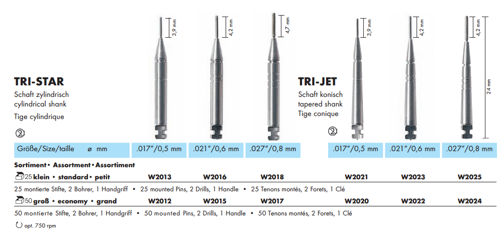 Parapulpal Retention Pins | Premiere Dental Sdn Bhd | Malaysia